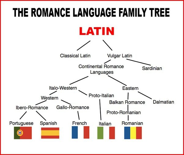 Latince Nasıl Ölü Bir Dil Haline Geldi? - Dergio